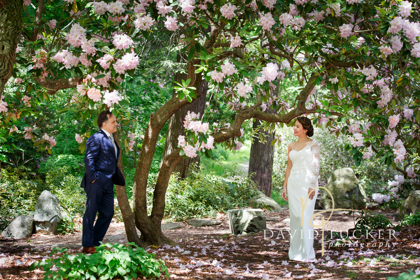 Arnold arboretum wedding 60 photos - Astyledwedding.com